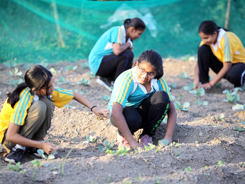 Welcome to Indian Public School, Dehradun